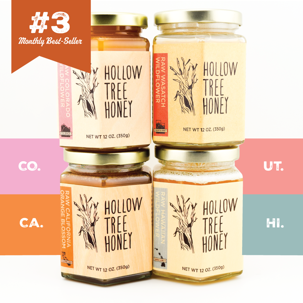 American Honey Sampler Gift Pack – HollowTreeHoney