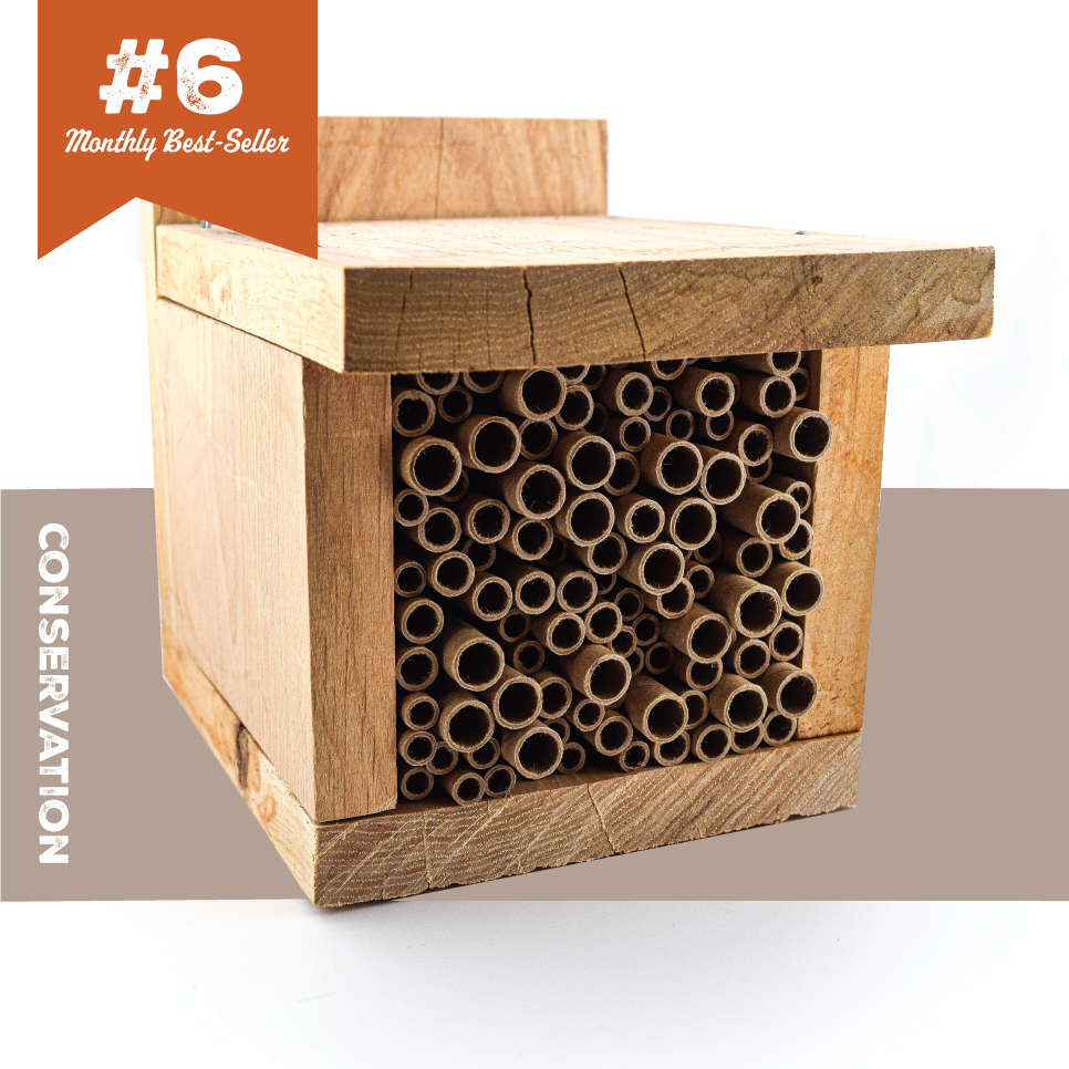 Native Bee Nesting Box – HollowTreeHoney